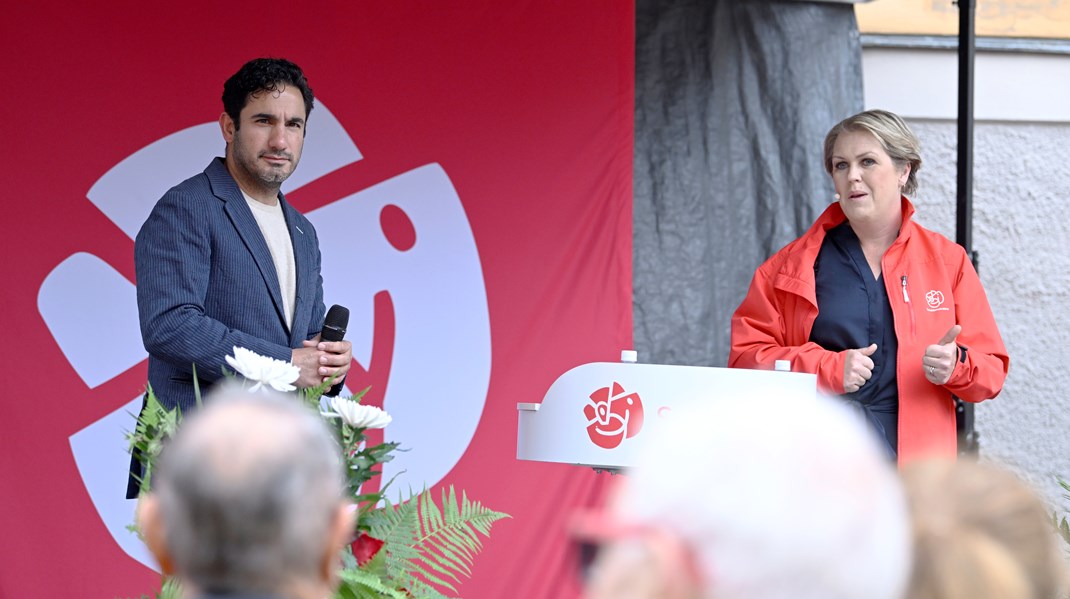 Hallengren lämnar övergångsregeringen – Shekarabi ny socialminister ...