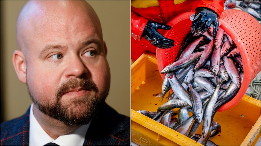 Peter Kullgren måste göra sitt yttersta för det småskaliga kustfisket - Altinget