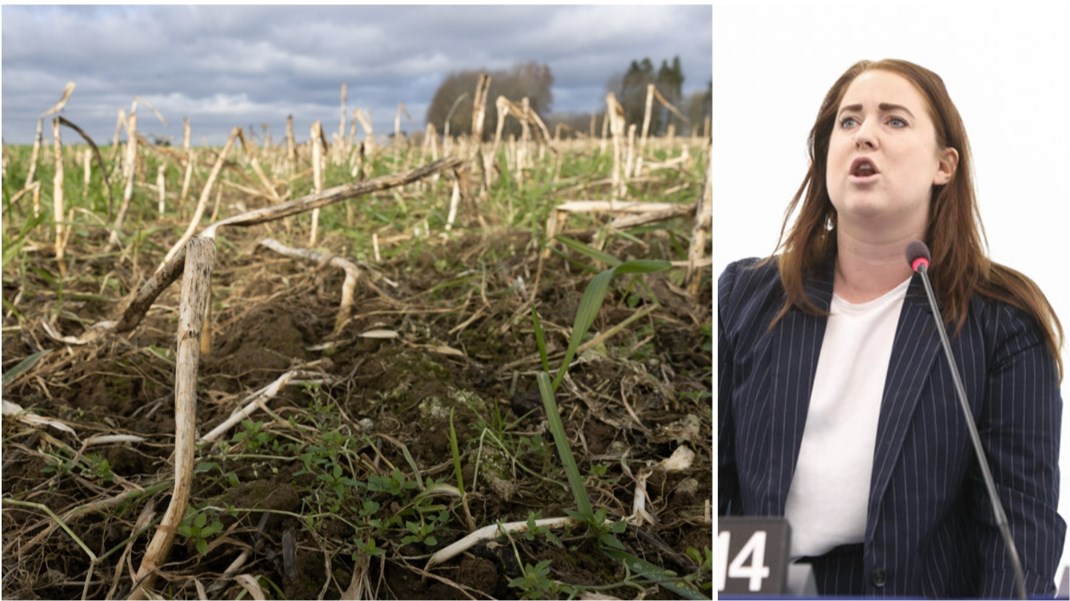 Hon vill riva upp förhandlingsposition om friskare jordar - Altinget